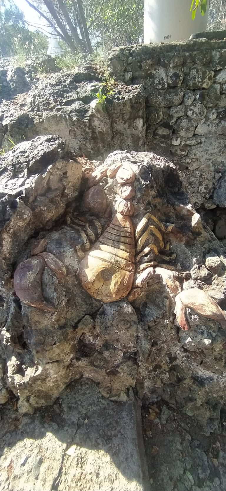 La Isla de los Alacranes - Scorpion Island - Ajijic Trinity